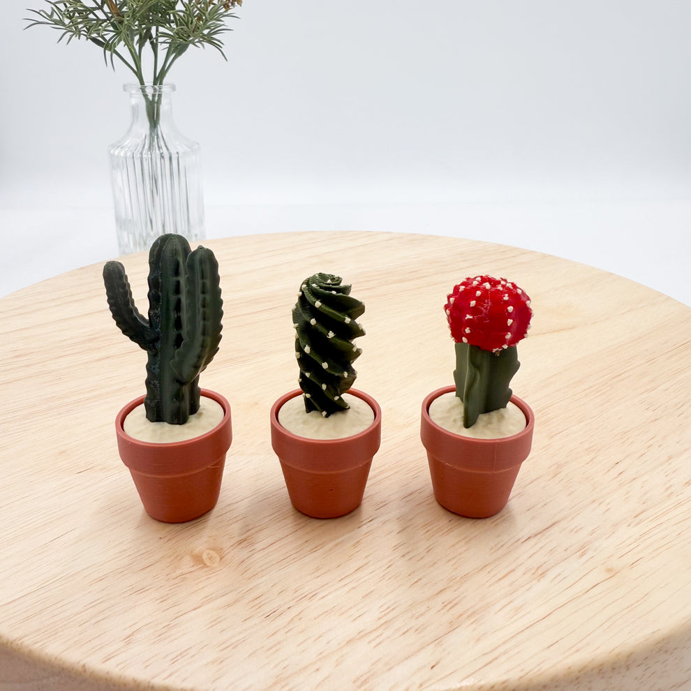 Pocket Plants - 3D Printed Mini Plant Decor Collectible – The Creation ...